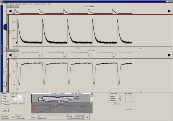 SarcLen Sarcomere Length Acquisition Module - IonOptix
