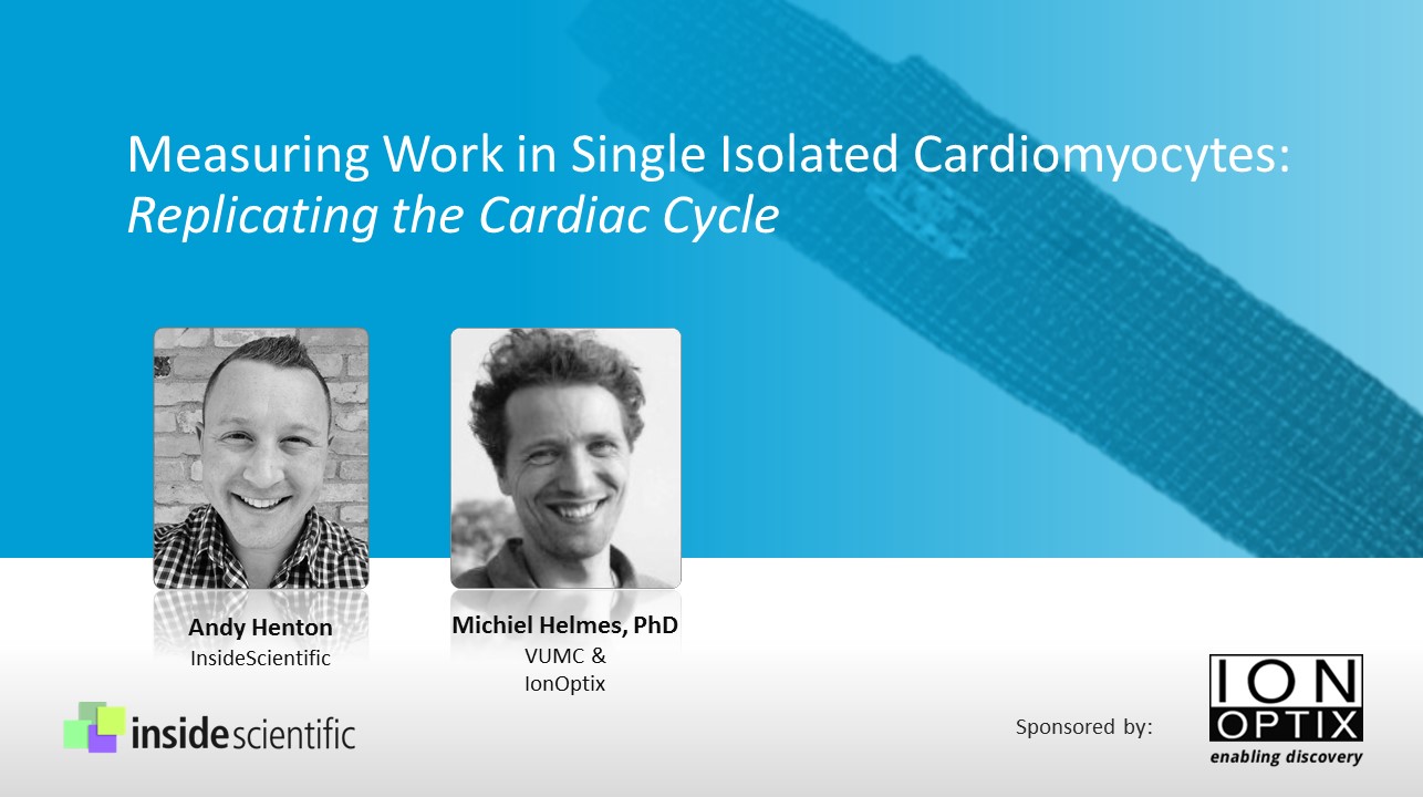 Measuring Work in Single Isolated Cardiomyocytes: Replicating the ...