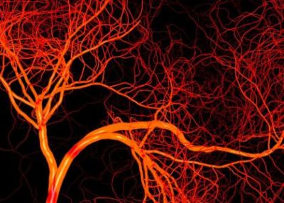 Applications - IonOptix