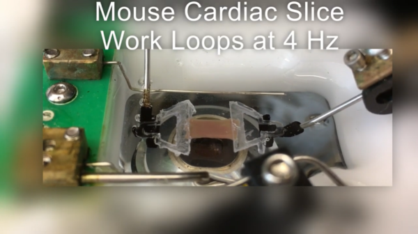 IonOptix Video Tutorials: Operation of the C-Pace EM Culture Stimulator ...